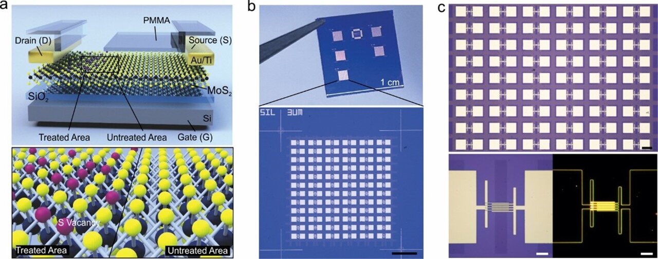 Scalable memtransistor arrays show potential for energy-efficient ...