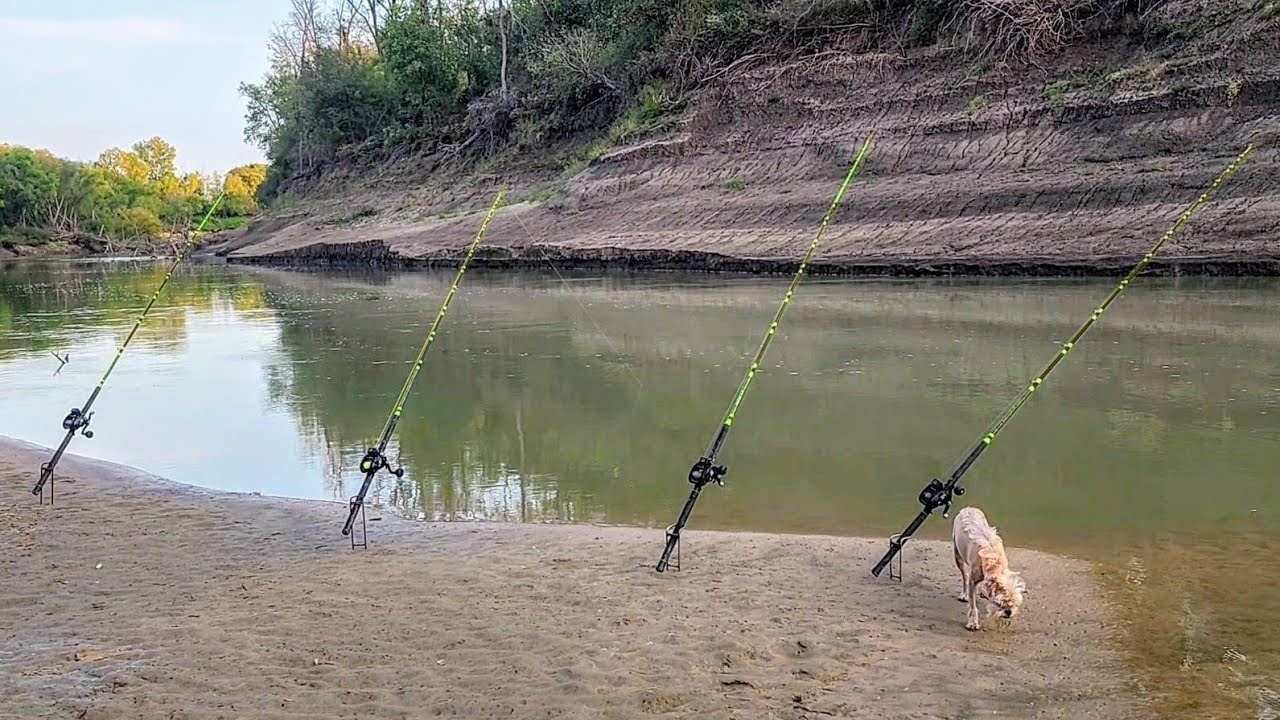 Night fishing secrets: Big catfish tactics