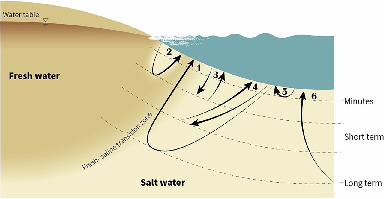 Coastal groundwater rivals rivers and volcanoes in shaping ocean ...