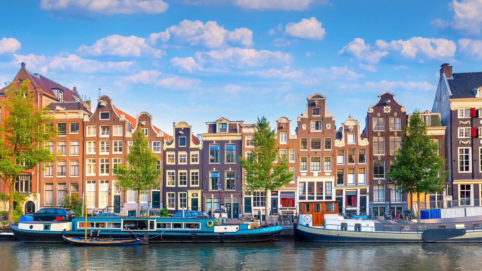 This little-known Dutch female artist eclipsed Rembrandt in the 17th ...