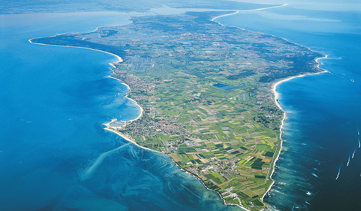 Ten injured after car plows into crowd in France