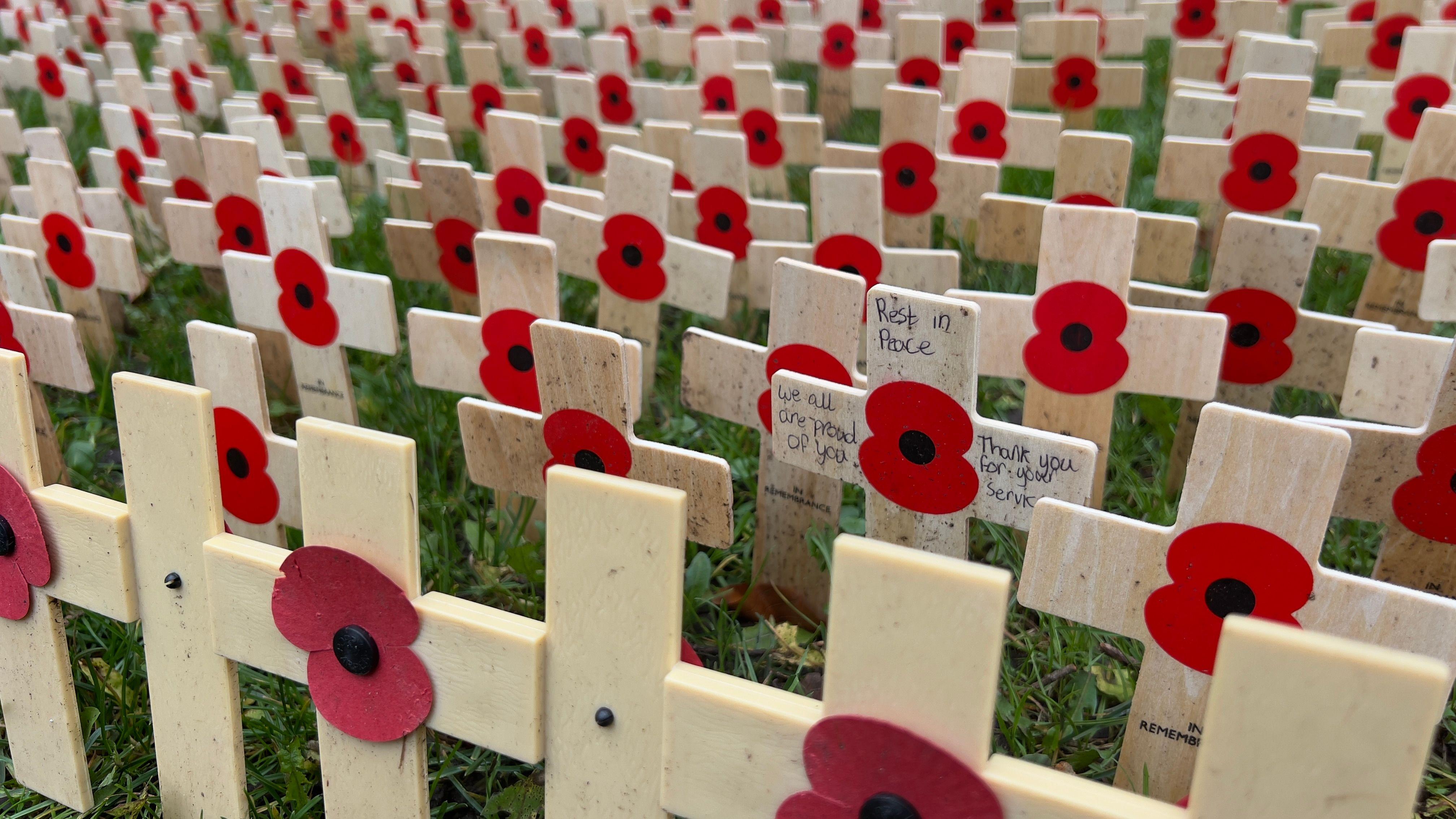 Field of Remembrance opens in Cardiff