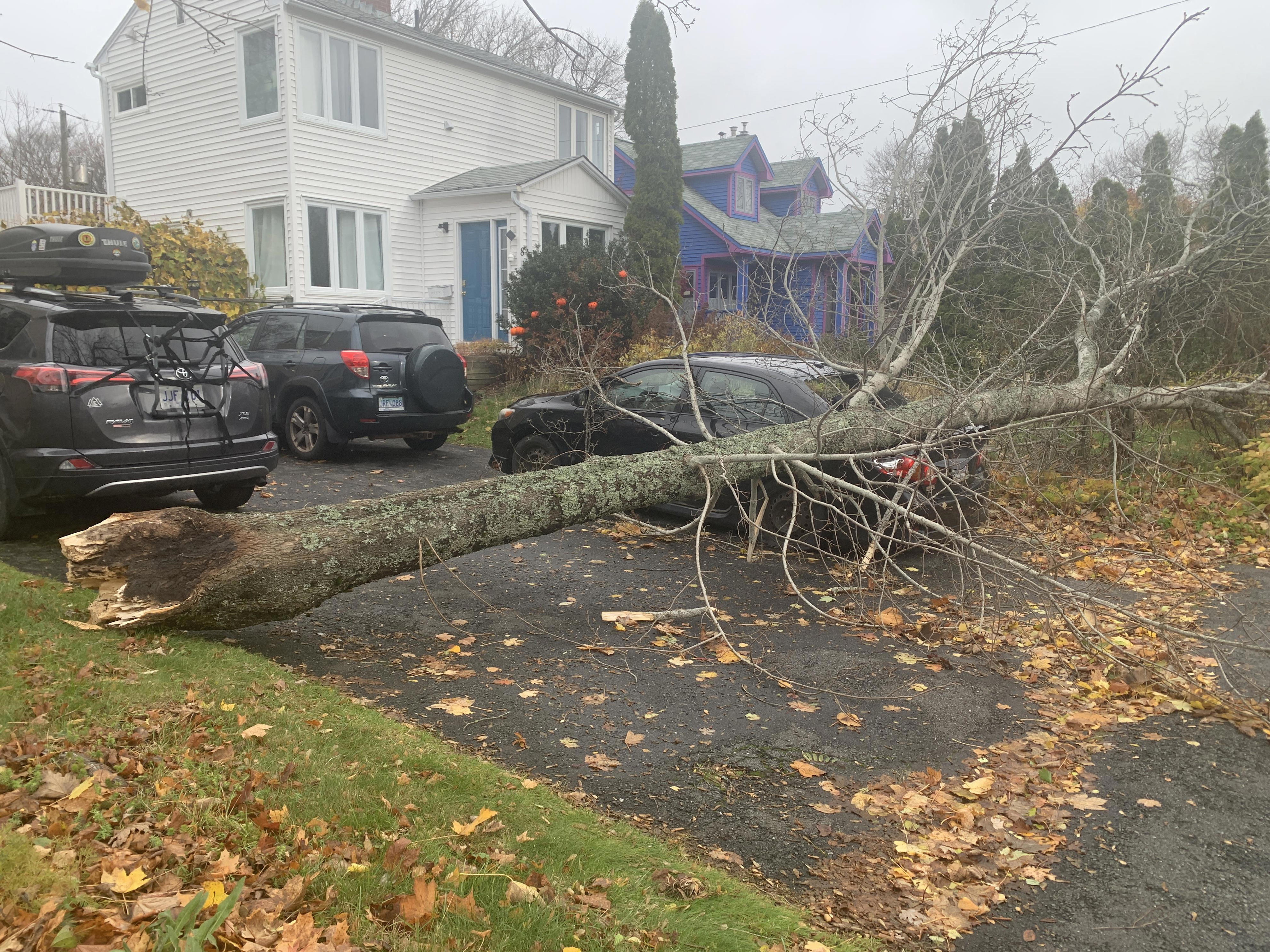 Une tempête de vents violents cause des dégâts à Terre-Neuve