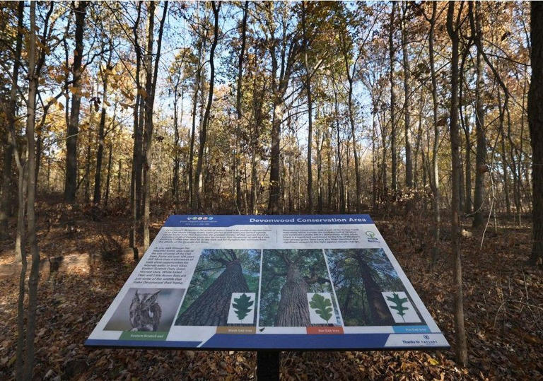 Ford government plan to merge Ontario conservation areas 'heartbreaking ...