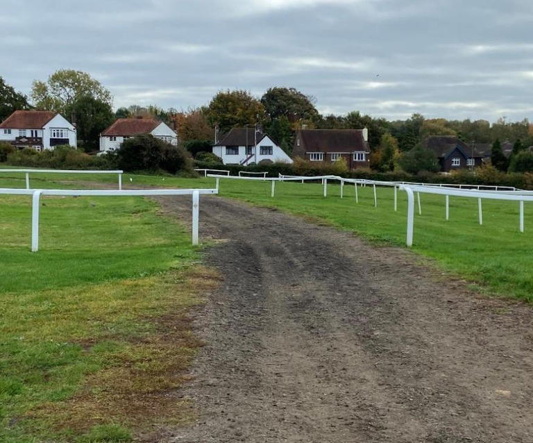 Epsom racehorses 'almost tripping up' sparks plan to re-route worn out ...