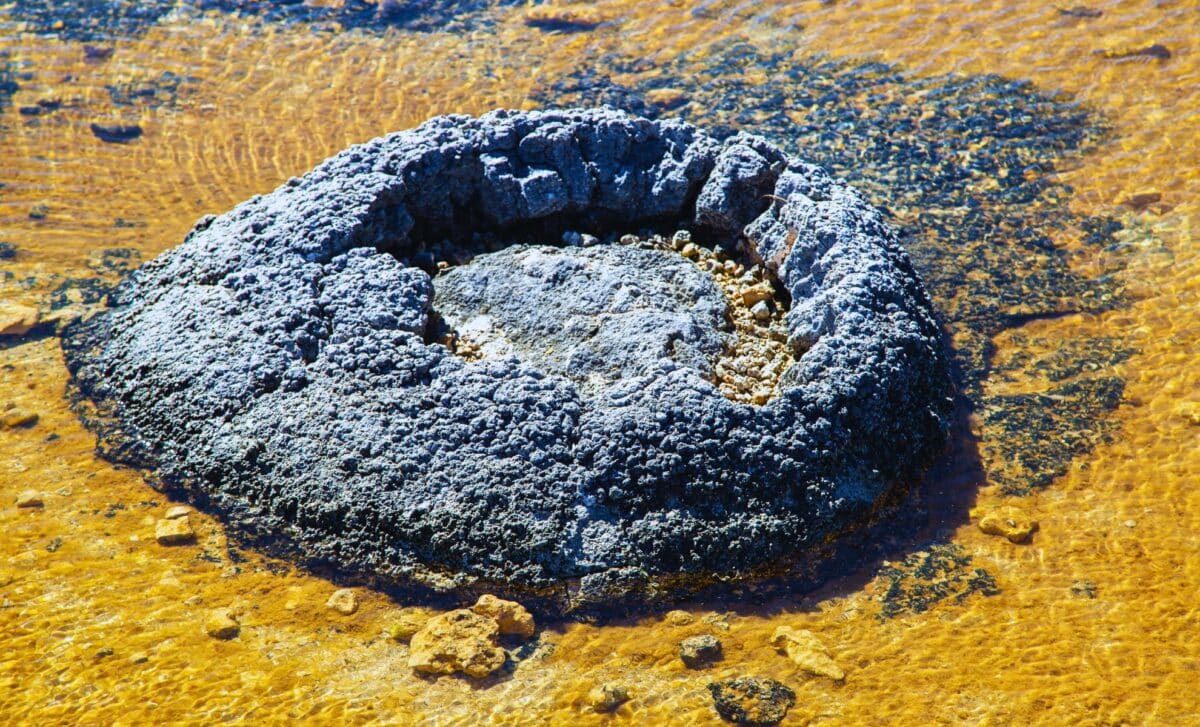 Scientists Just Found Ancient Rocks in Australia, And They’re 3.5 ...