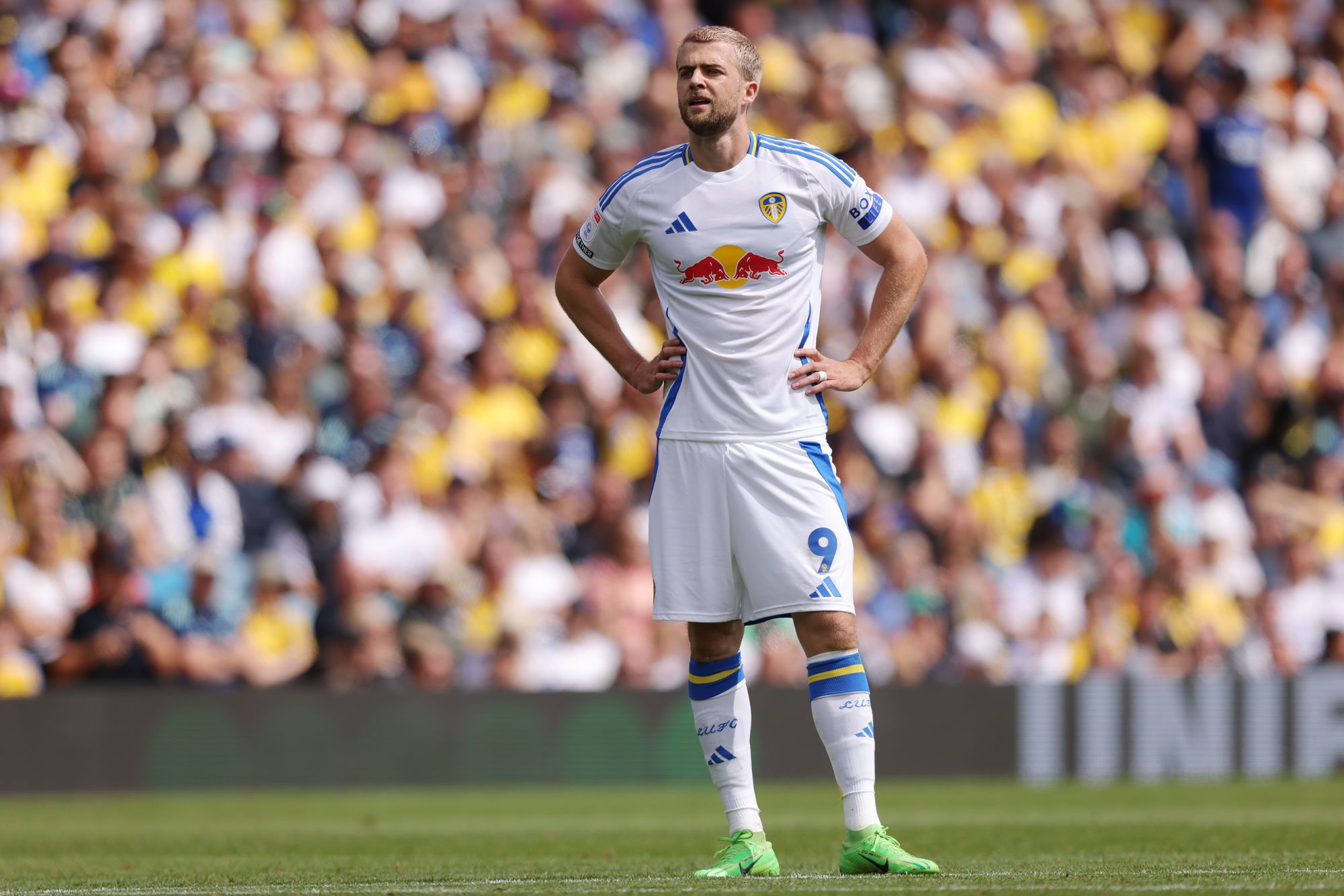 Link-up play, injuries and workrate - an expert view on Patrick Bamford ...