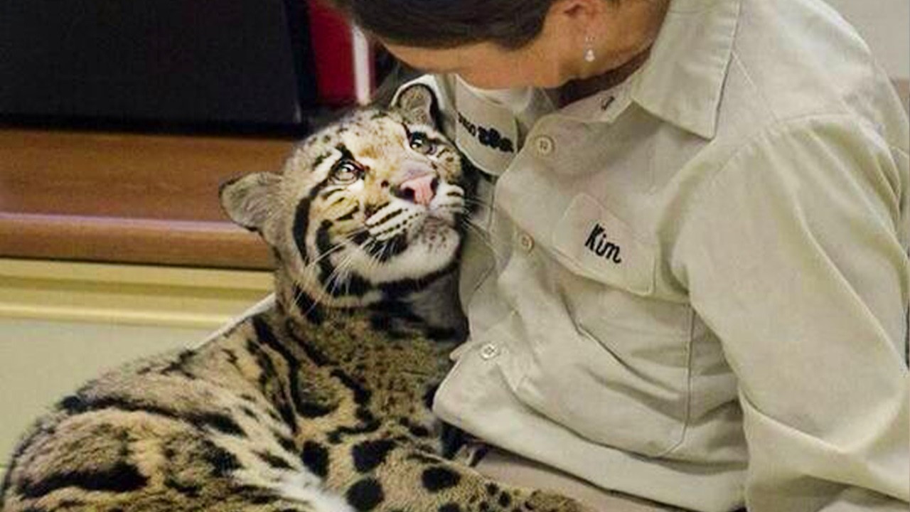 Animals melt into hugs with pure joy and emotion