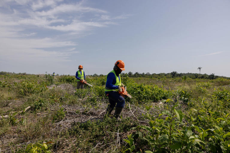 Brazil Is Developing a Weapon for Trade Wars: Fertilizer in the Amazon