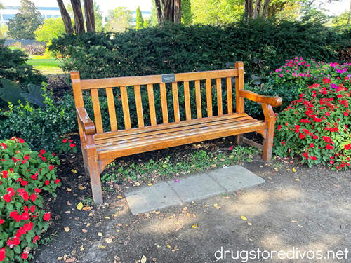 The Taylor Swift Bench In Centennial Park: Everything you need to know