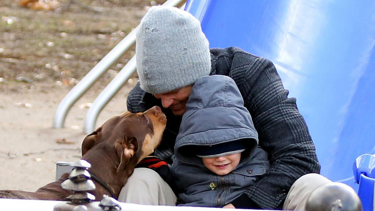 Tom Brady's dog is a clone created by company bringing back dire wolf ...