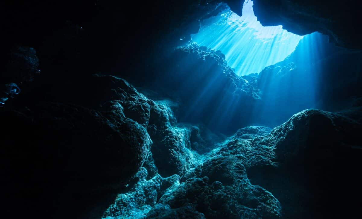 Scientists Spot Deepest Creature Ever, 8,336 Meters Below the Ocean’s ...