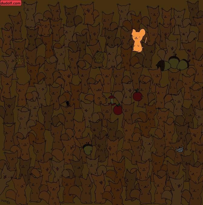 Only If You Are Highly Observant Then Spot A Mouse Hidden Among ...