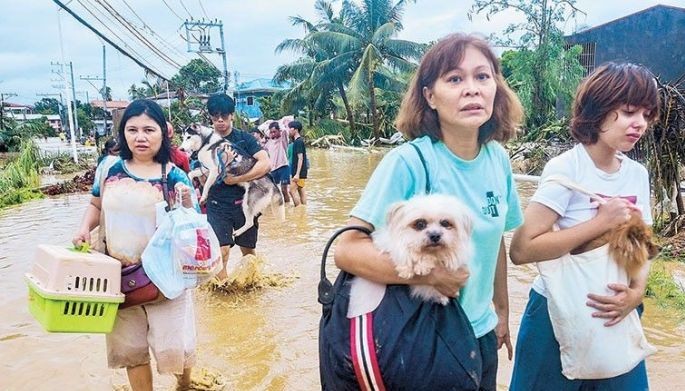 ‘Don’t leave pets behind’