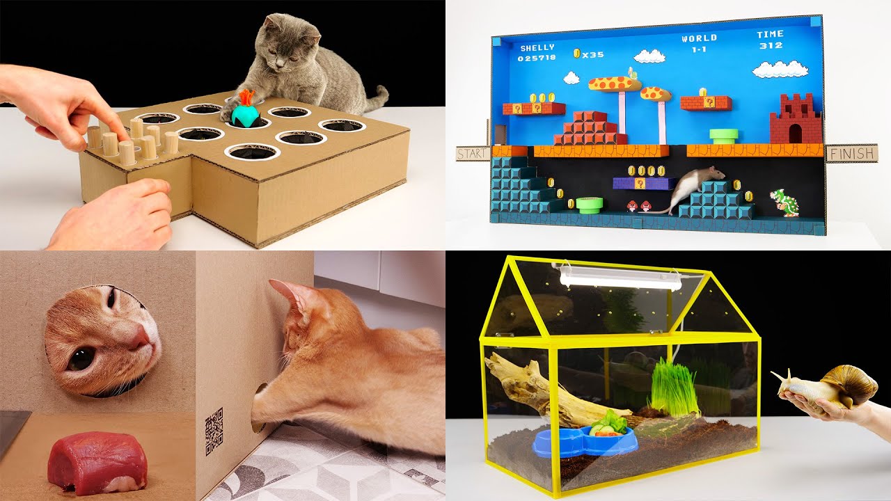 5 fun DIY pet projects: Enrich and entertain your pets at home!