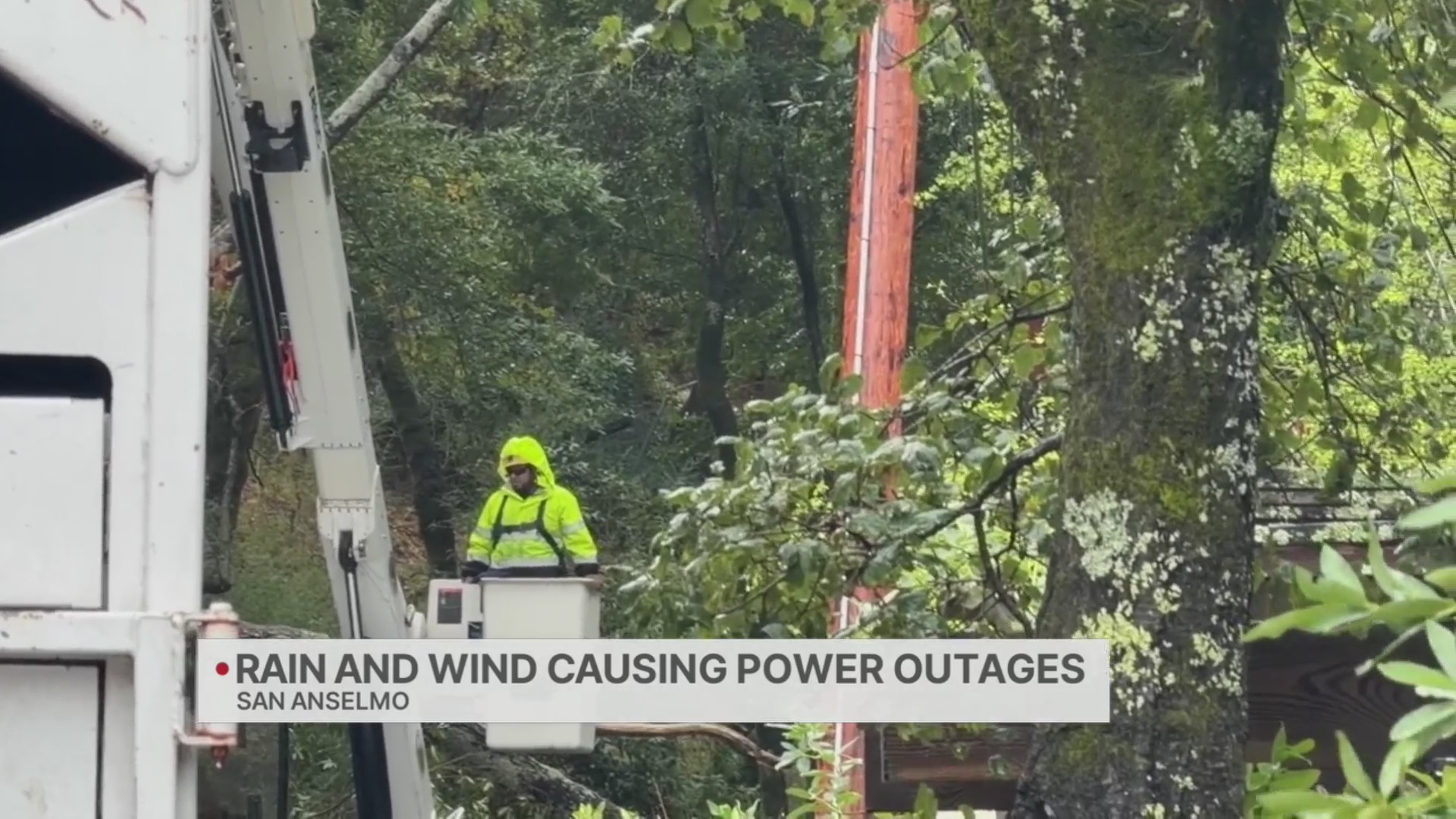 Wind, rain causes power outages in Bay Area