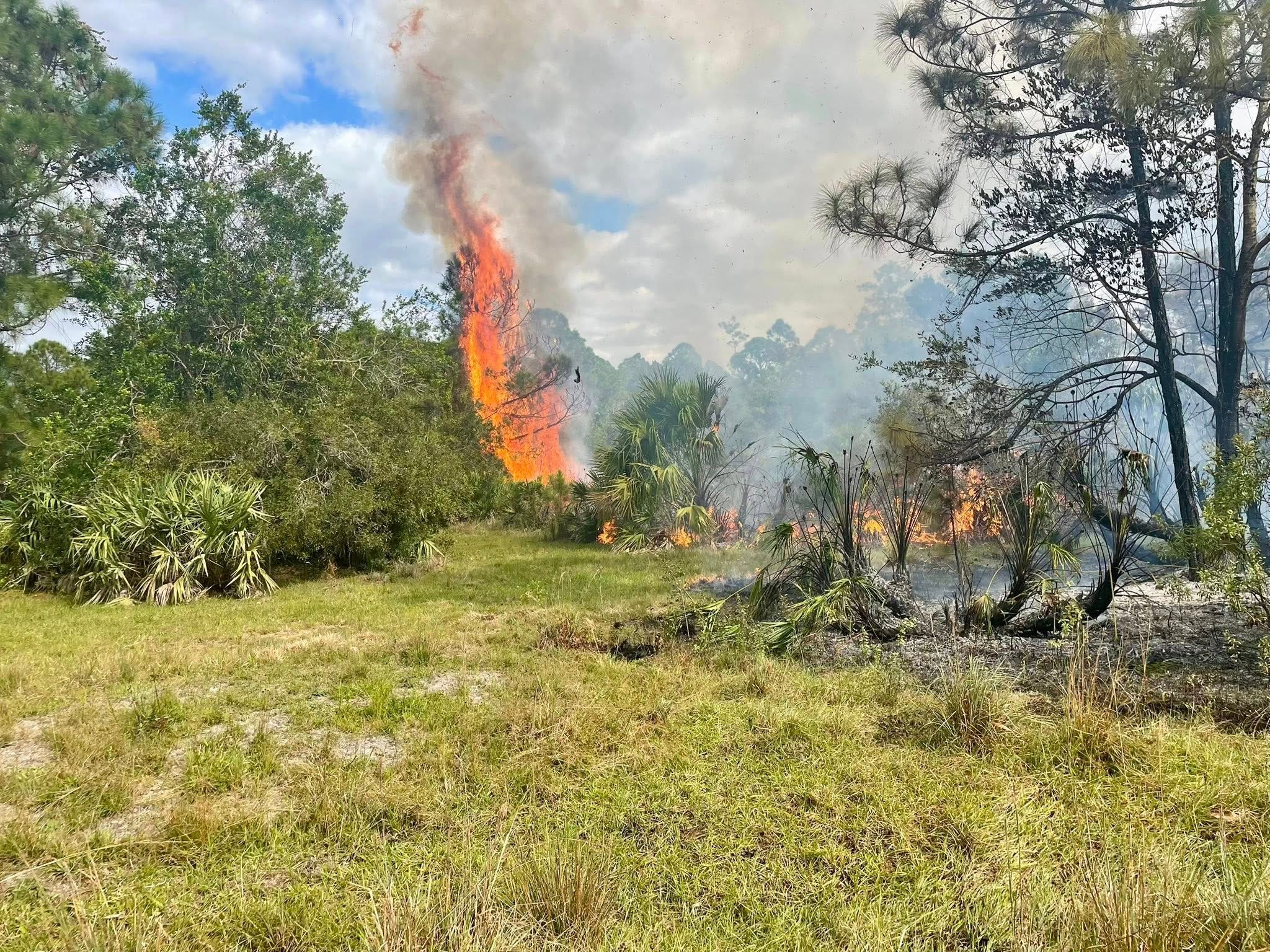 Martin County Fire Rescue and Florida Forest Service crews extinguish ...