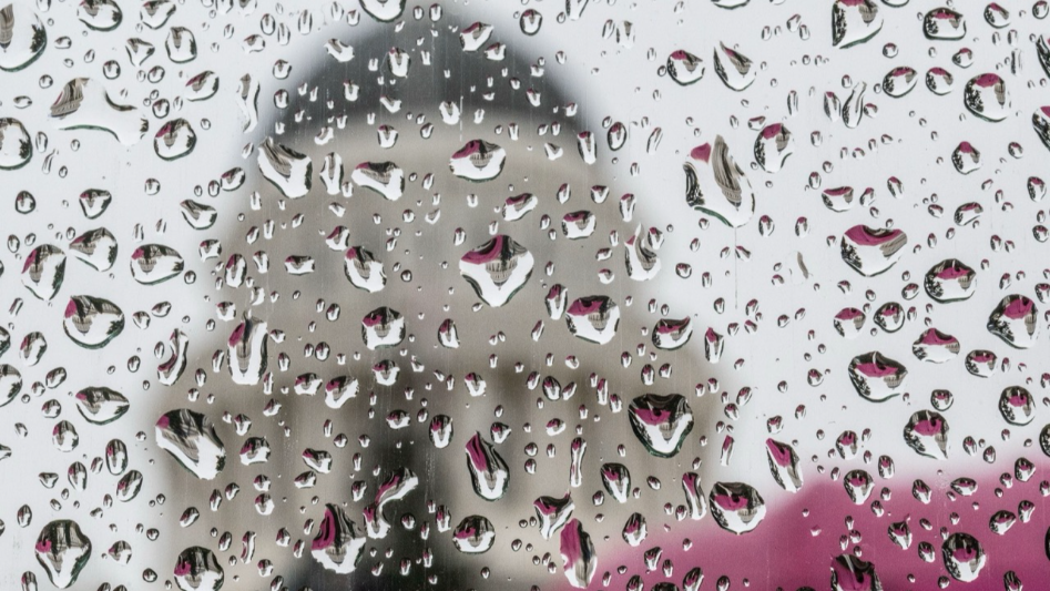 A weather system is bringing rain, wind to Sacramento. See the conditions