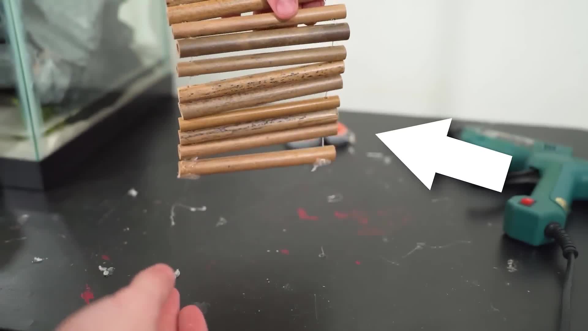 I transformed an abandoned axolotl’s home