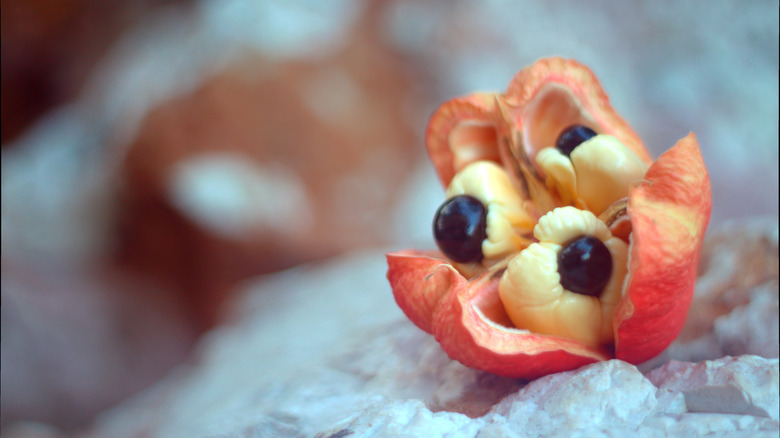 What Is Ackee?