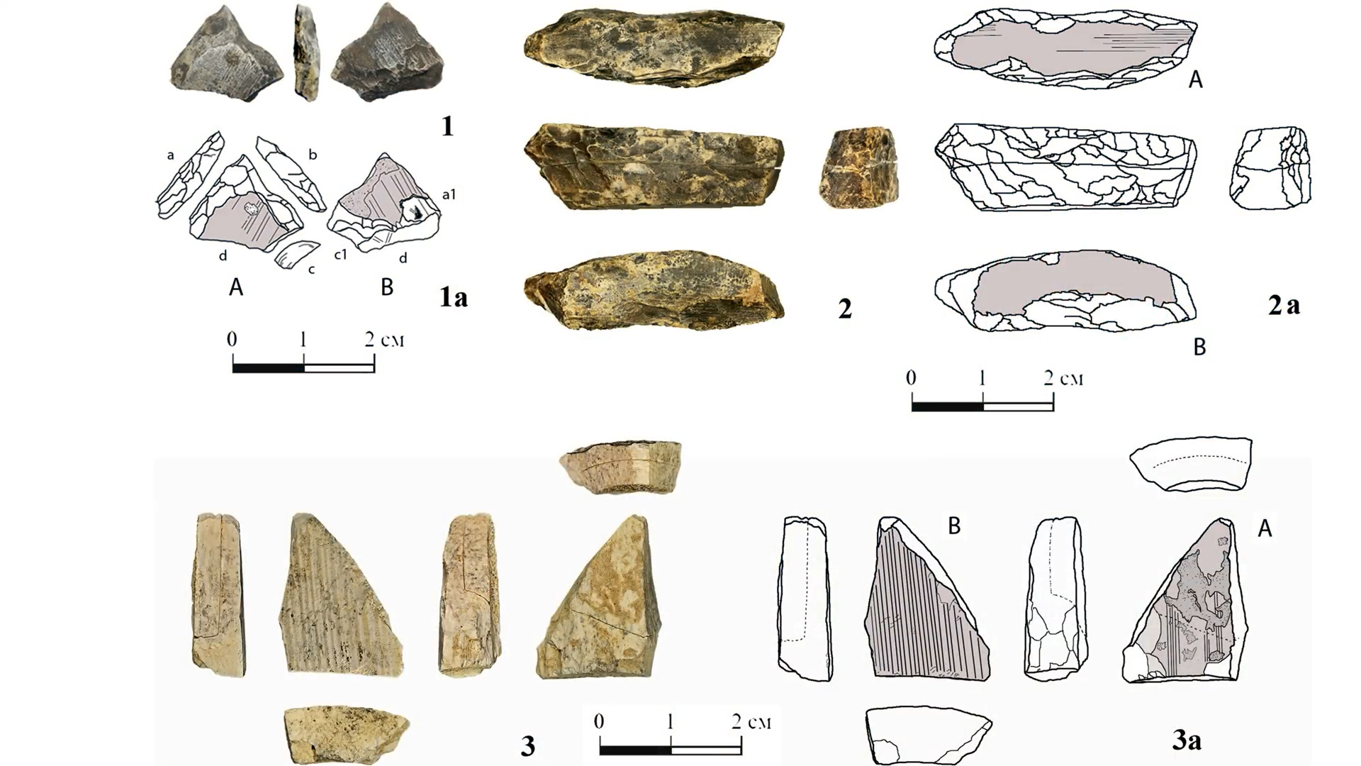 400,000-Year Innovation: The Oldest Ivory Tools Ever Found