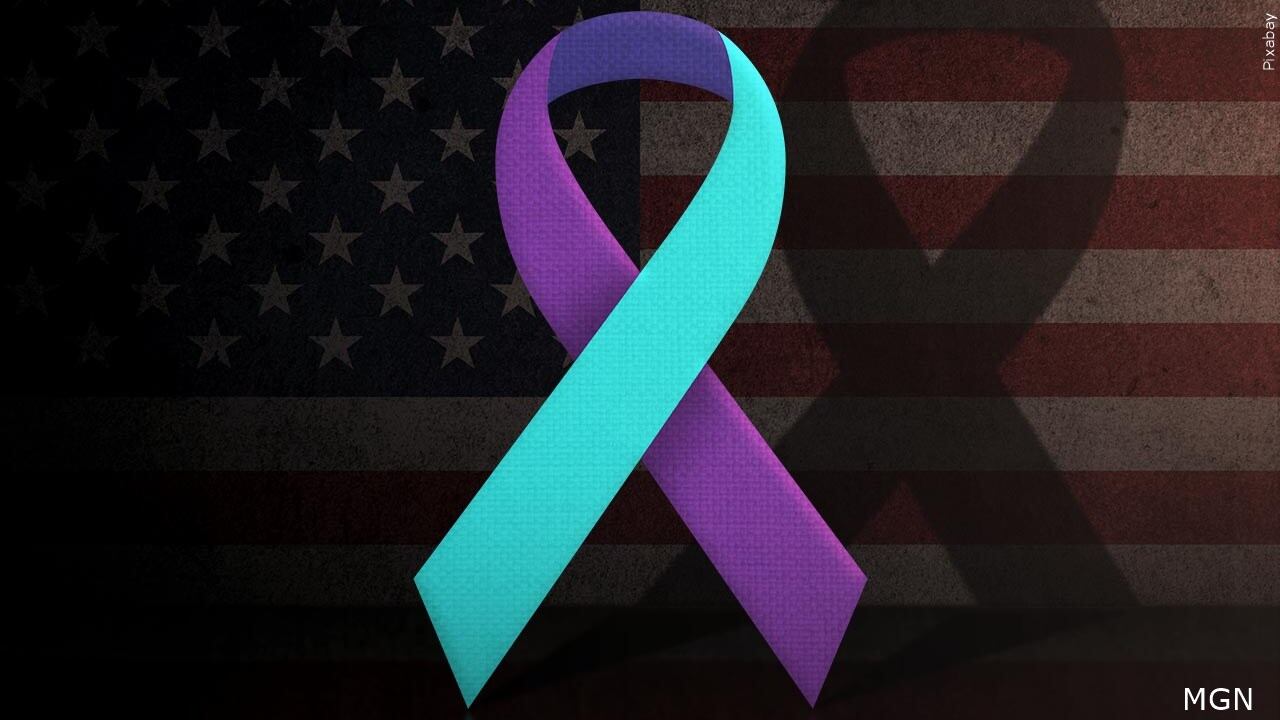 Veterans, families gather in Lansing to raise awareness for suicide ...