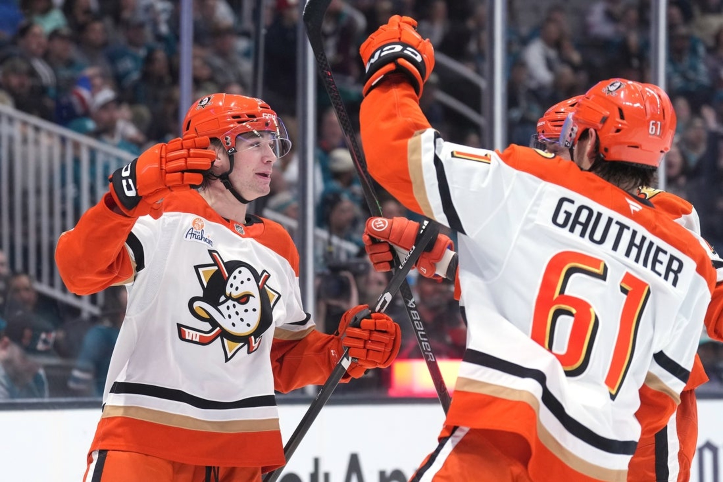 As young Ducks take flight, surging Stars up next