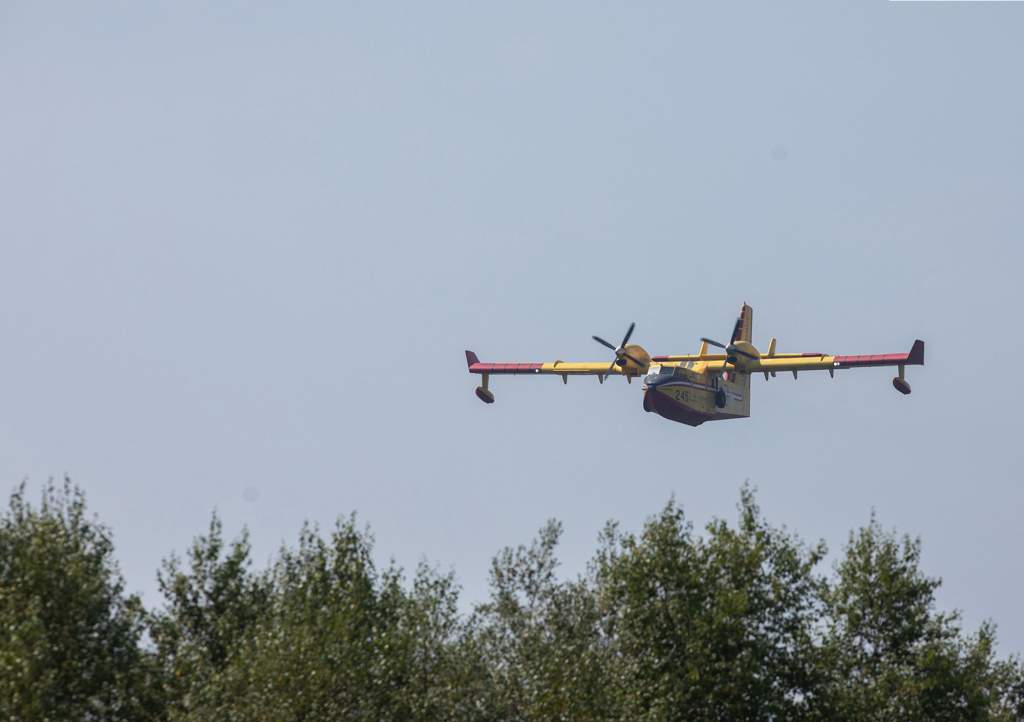 ‘Immense probability’ N.B. wildfire was caused by human activity: minister