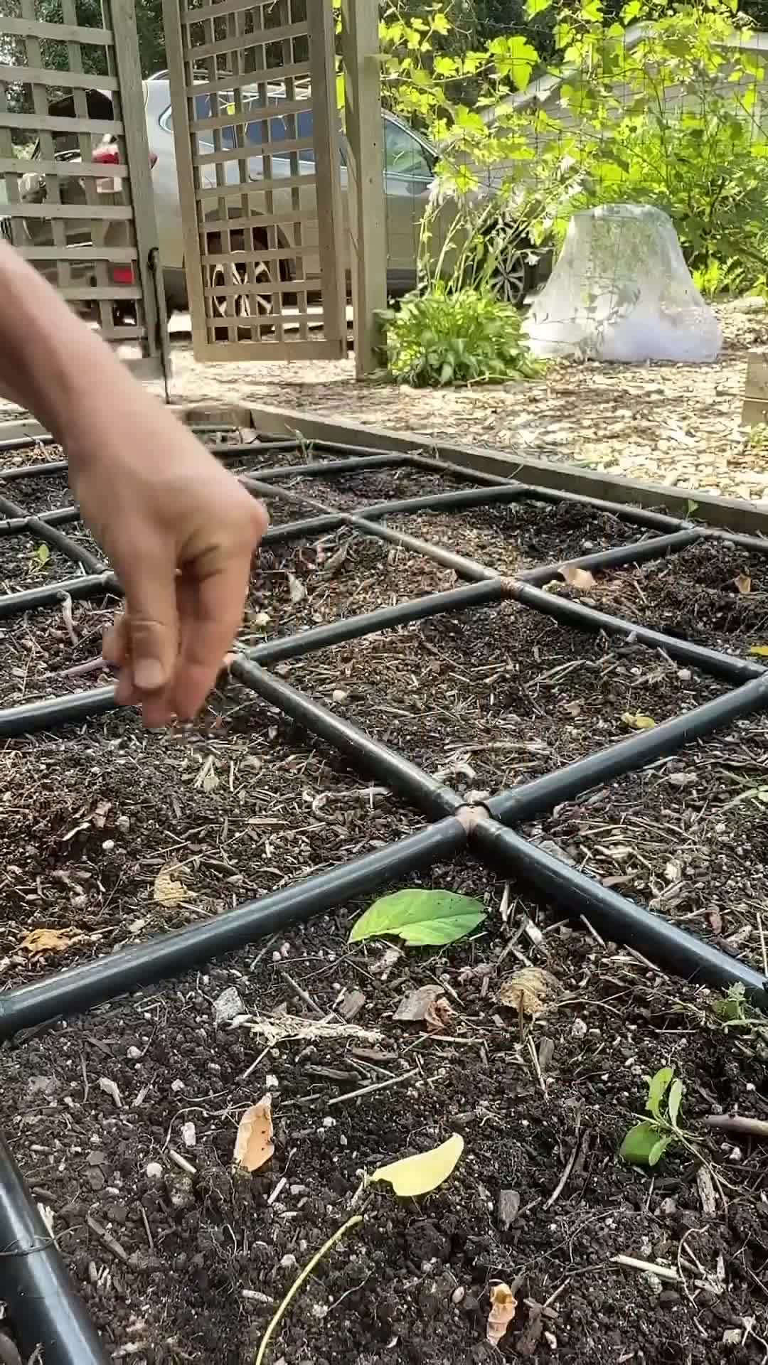 Only planting one thing in my garden