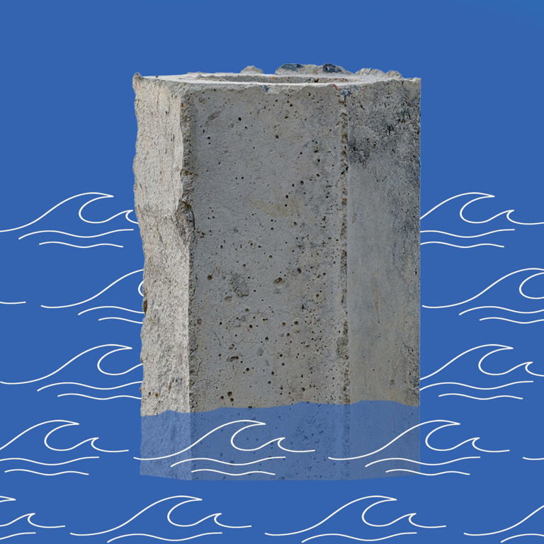 Scientists Use Mollusk Shell Secrets to Create Super-Strength Concrete