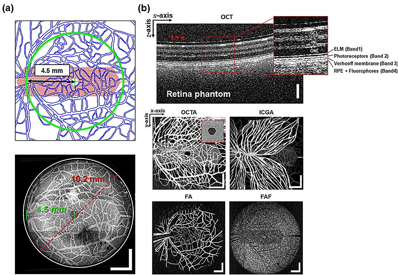 Scientists create artificial retina phantom to standardize eye disease ...