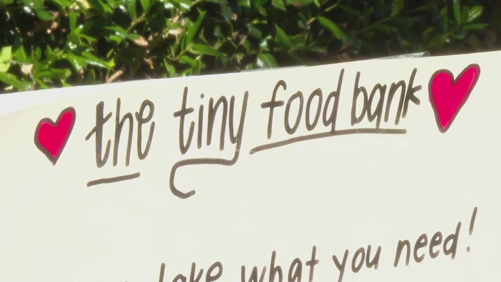 North Texans turn front yards into mini food pantries amid SNAP benefit ...