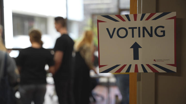 Two new special elections needed in Minnesota after Tuesday’s election ...