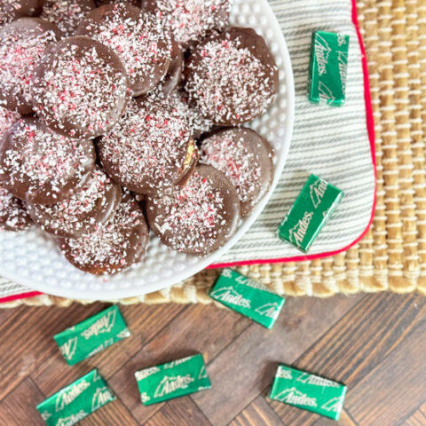 Ritz Cracker Thin Mints (No Bake, 2 Ingredients!)