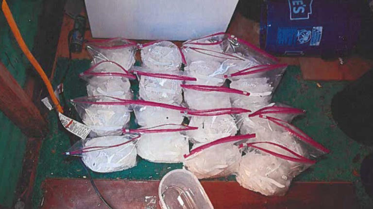 PHOTOS: 500 pounds of meth seized in South Carolina county