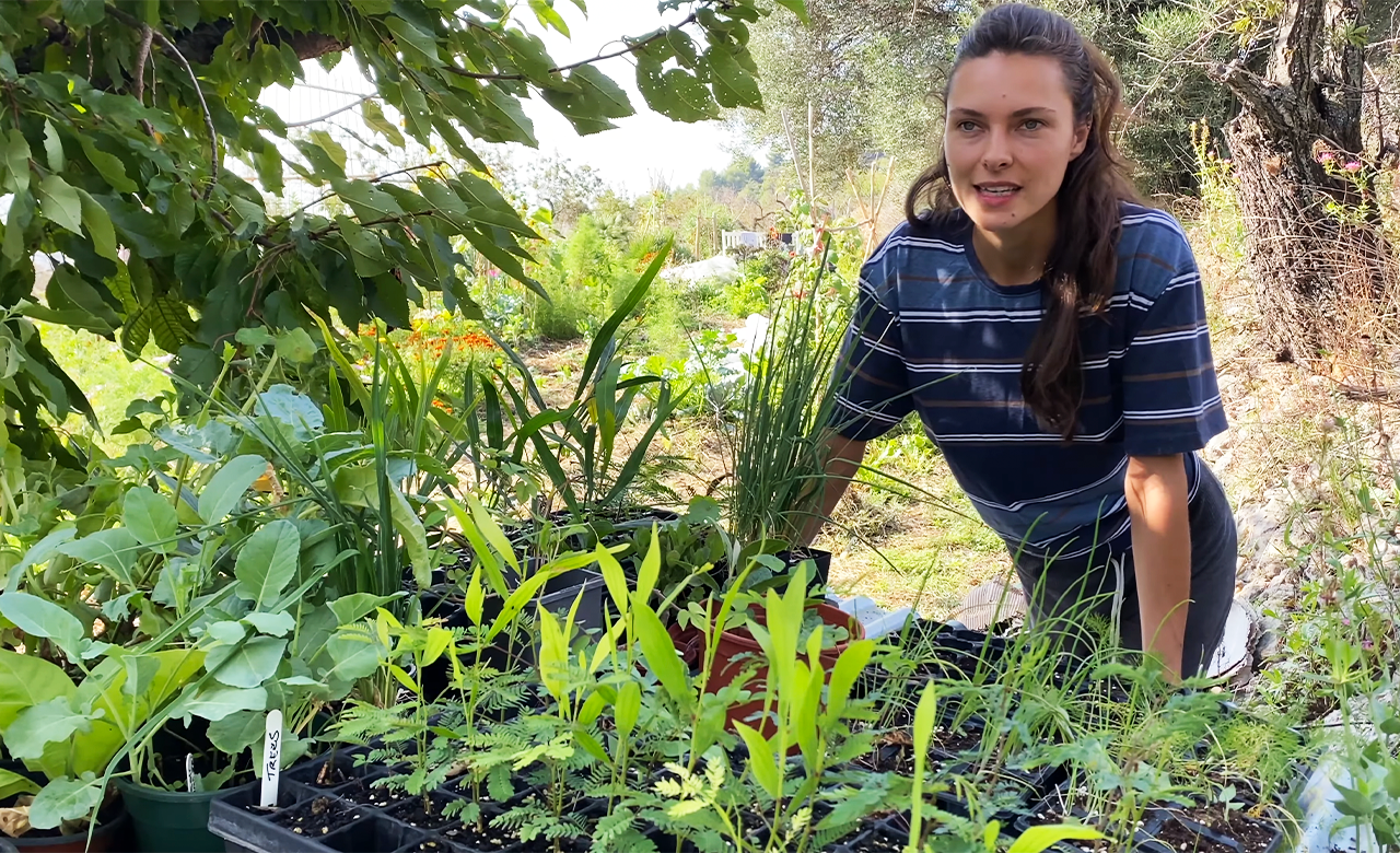 From food forest dreams to freezing ice baths! (Robbie’s sanity quest)