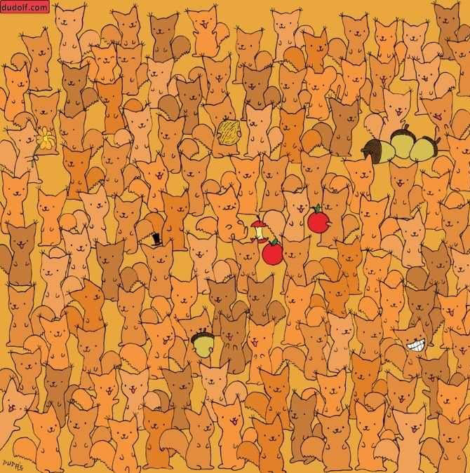 Only If You Are Highly Observant Then Spot A Mouse Hidden Among ...