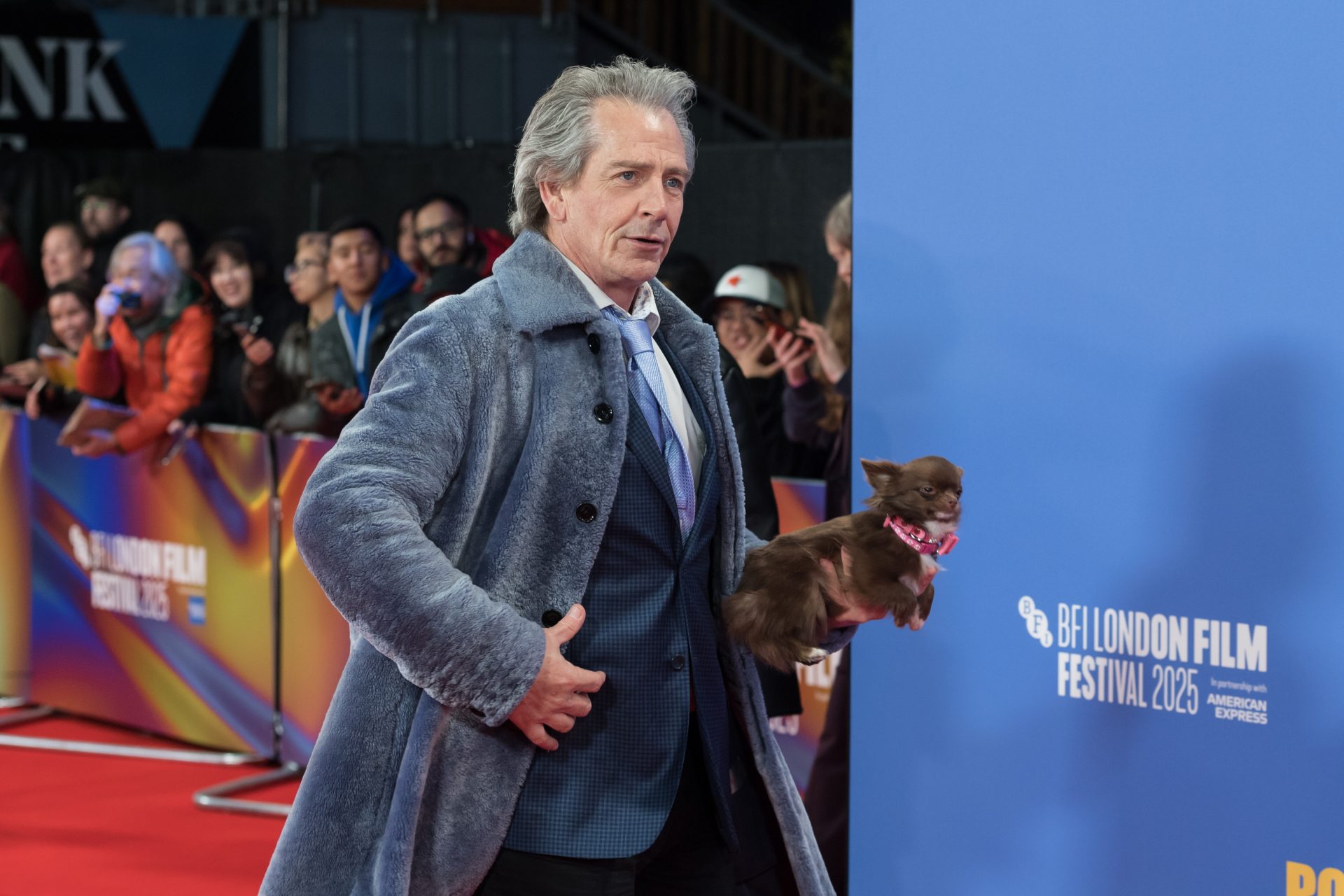 Qual é o animal de estimação ideal para você de acordo com seu signo?