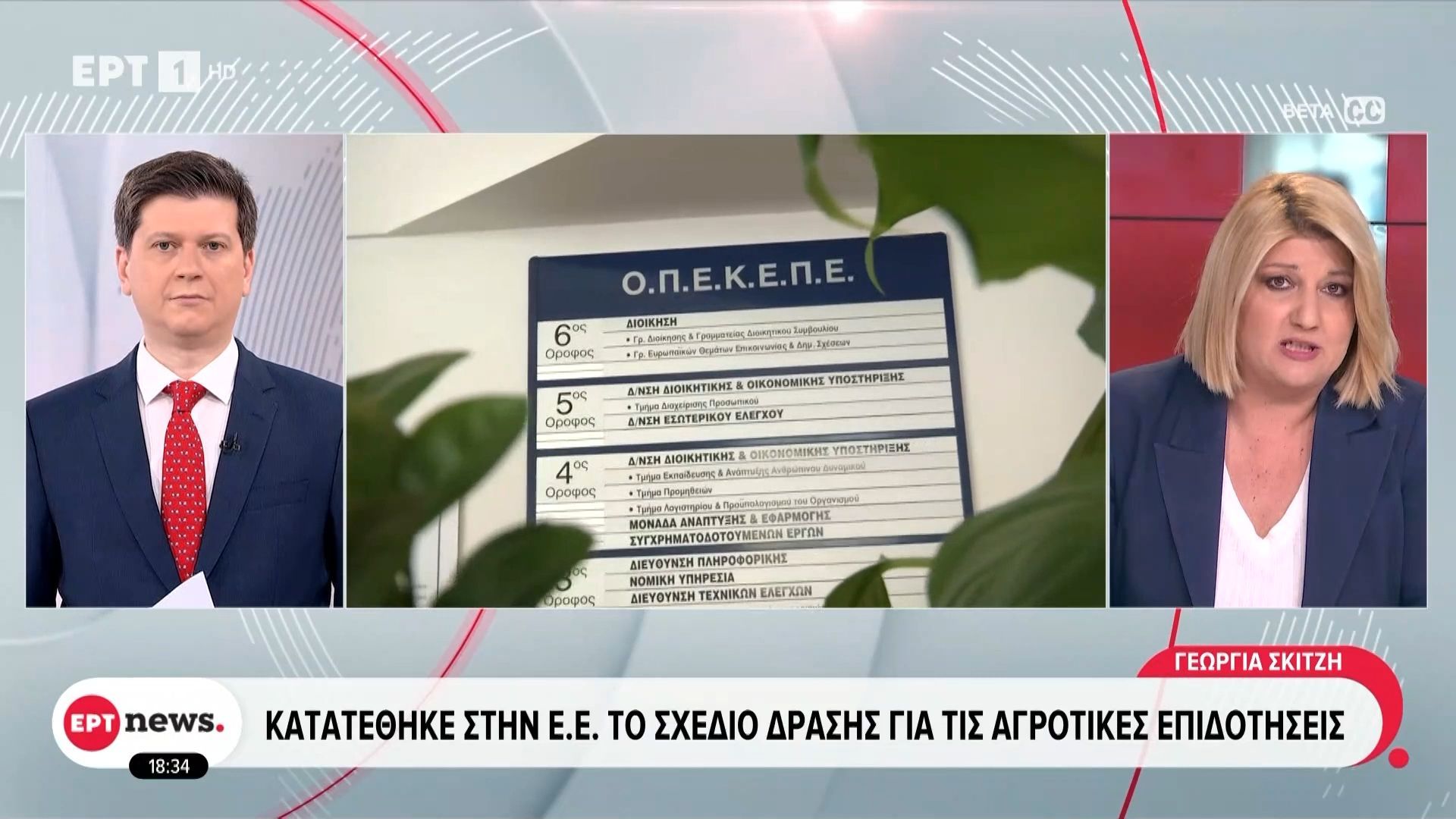Κατατέθηκε στην Ε.Ε. το σχέδιο δράσης για τις αγροτικές επιδοτήσεις