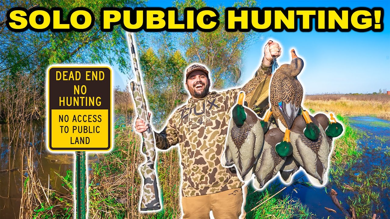 Solo duck hunt on a public marsh!
