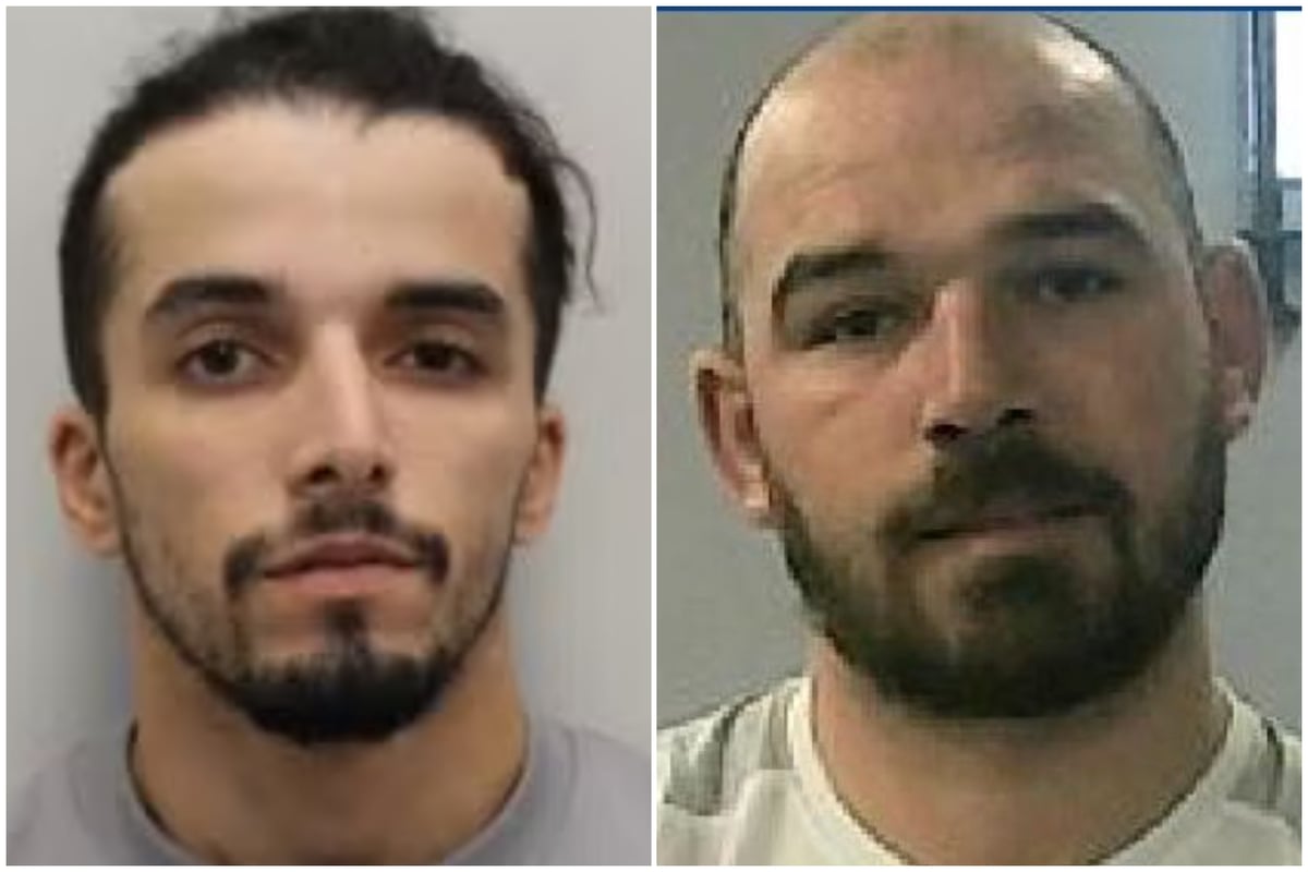 Two prisoners on run after being wrongly released from London jail