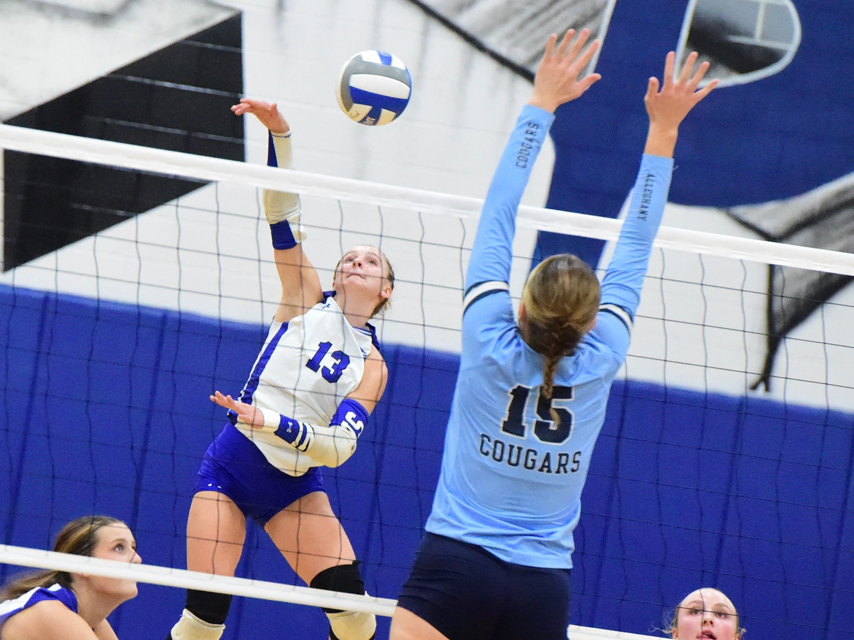 Fort Defiance's Frizzelle, Pitsenbarger take top Shenandoah District ...