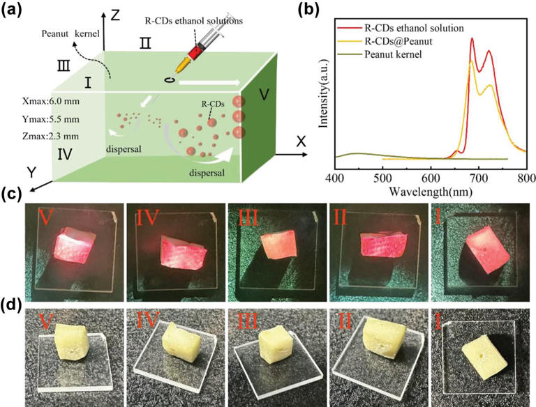 Scientists just built a laser entirely out of peanuts and birch leaves