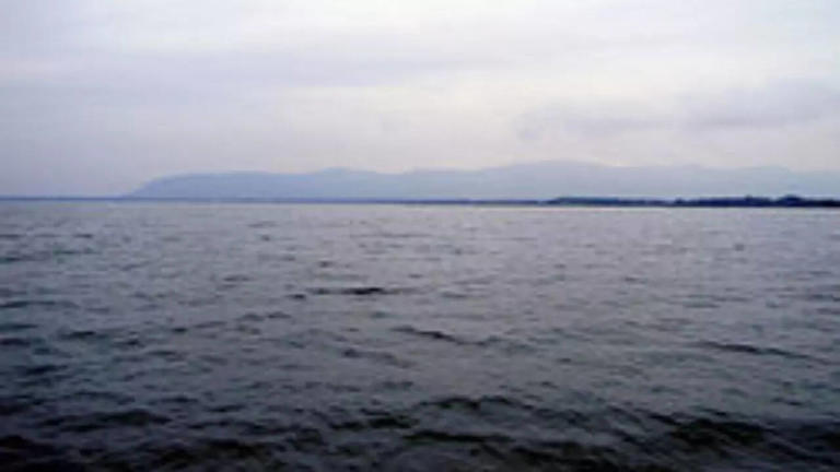 Which is the largest saltwater lake in India: Exploring Chilika Lake ...