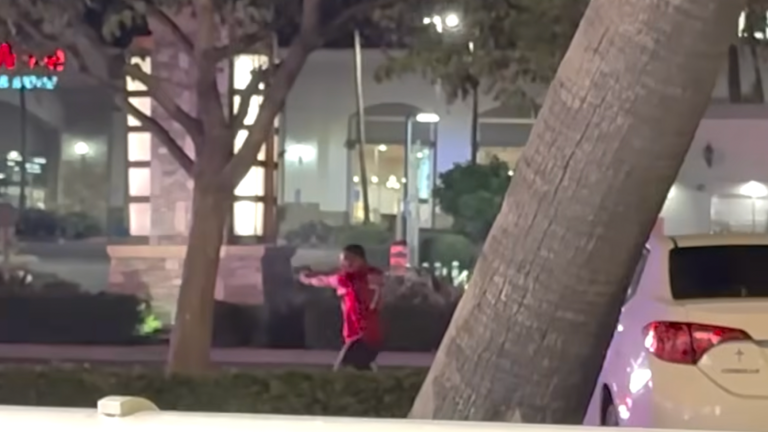 Harrowing video shows shootout between police, suspect in front of ...