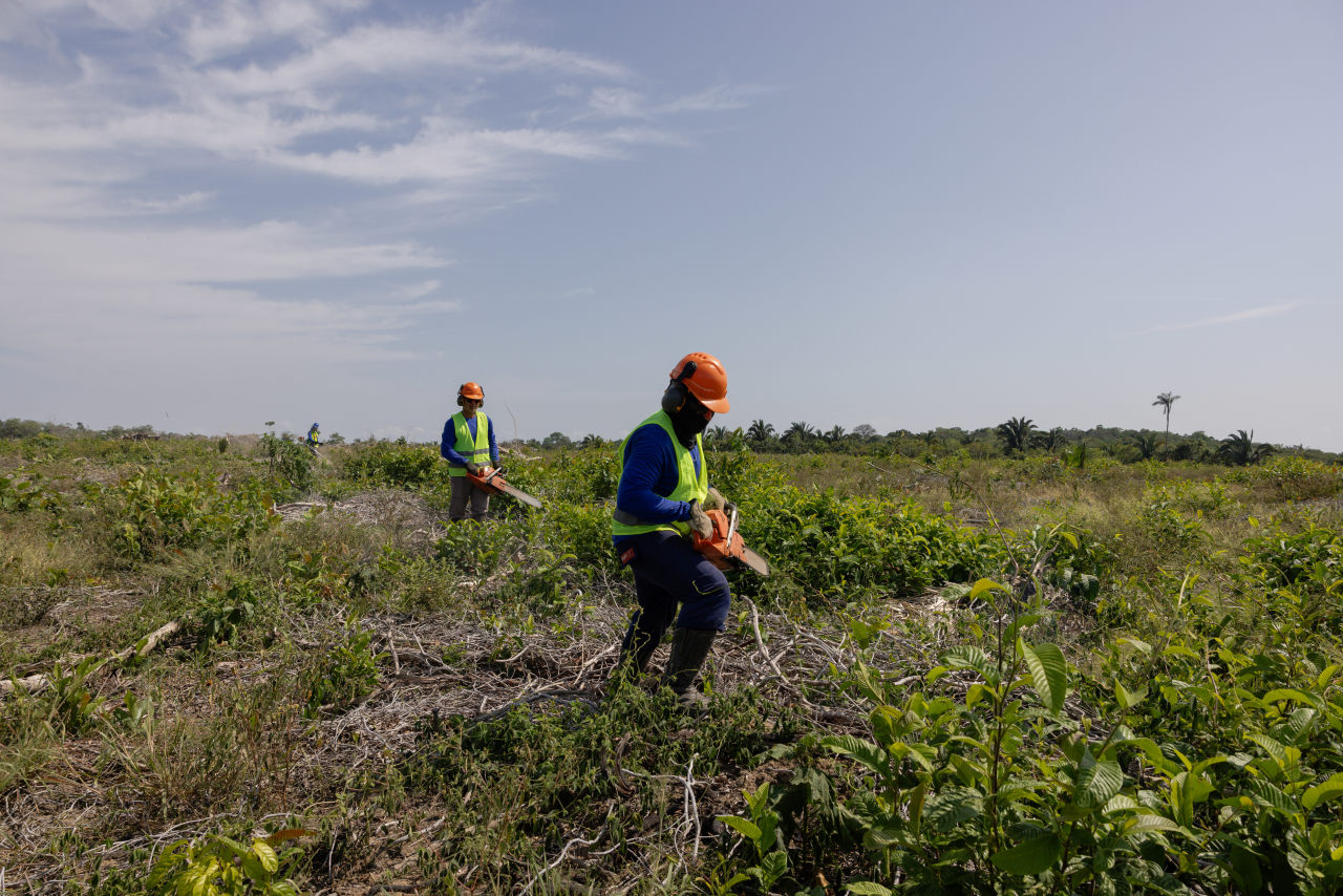 Brazil Is Developing a Weapon for Trade Wars: Fertilizer in the Amazon