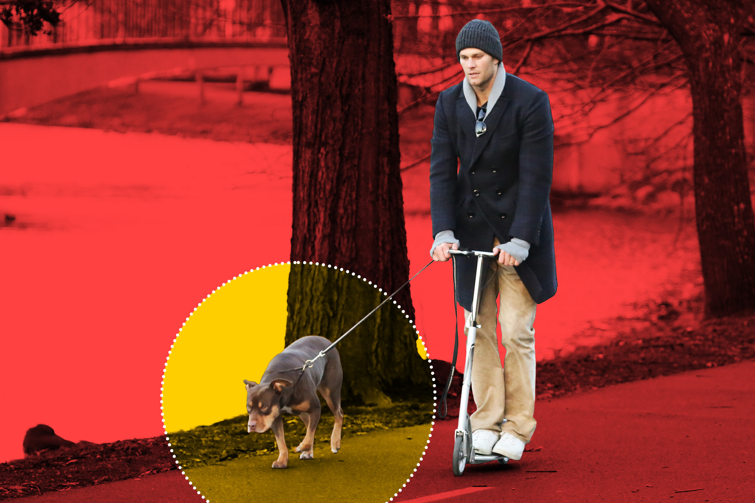 Tom Brady Reveals That His Dog Is a Clone