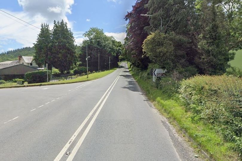 Pedestrian killed after being hit by van