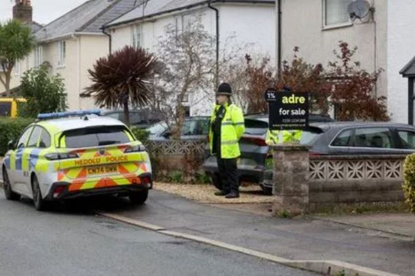 Dog that killed baby boy was XL Bully registered before ban