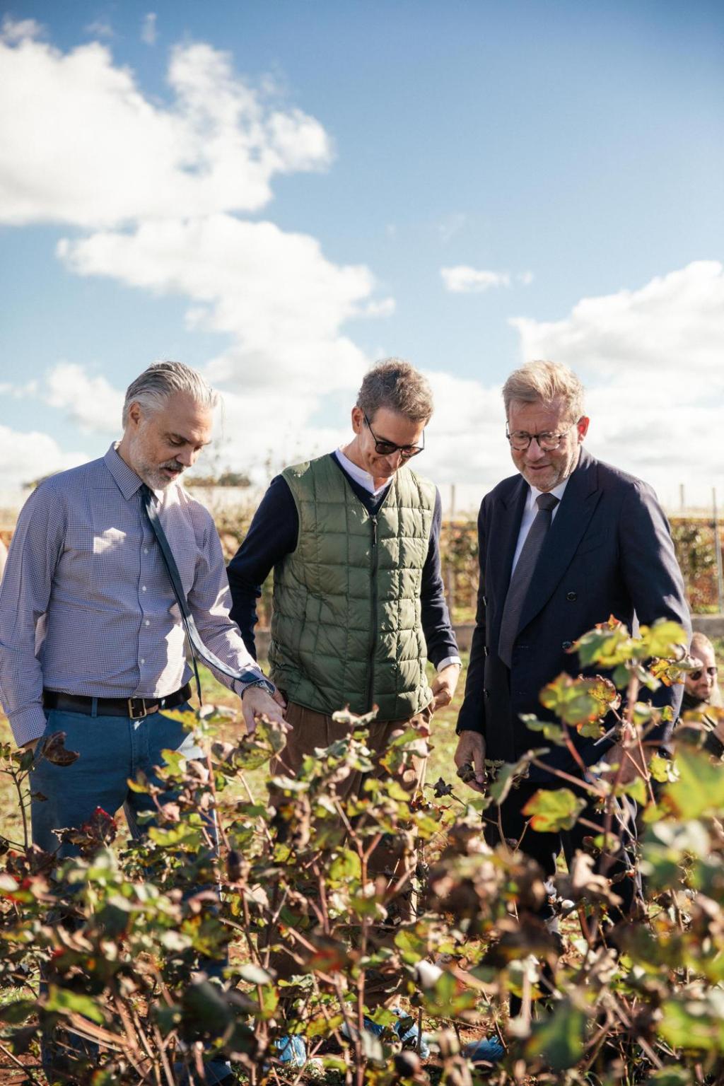 Giorgio Armani Group Unveils First Results of Pioneering Apulia ...